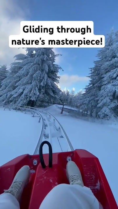 Snowy Roller Coaster Ride – A Winter Wonderland Adventure! - YouTube