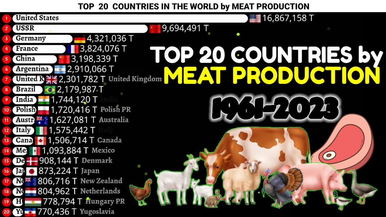 Countries with highest meat production in the world|1961-2023 - YouTube