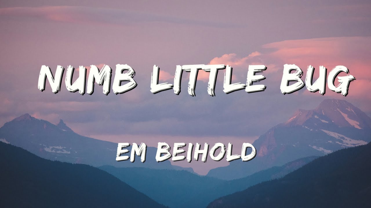 Numb Little Bug - Em Beihold (LYRICS) - YouTube