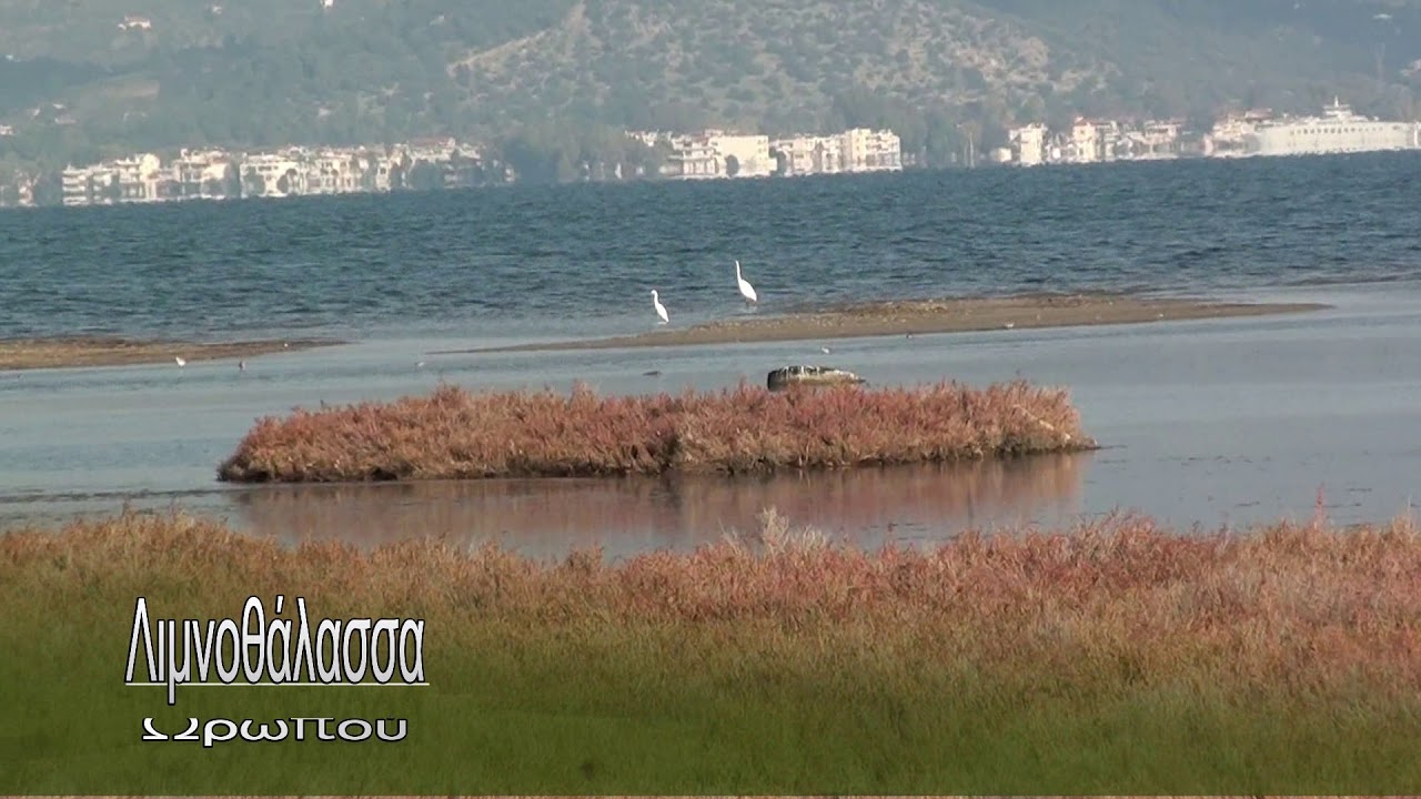 8 12 2019 ΛΙΜΝΟΘΑΛΑΣΣΑ ΩΡΩΠΟΥ - YouTube