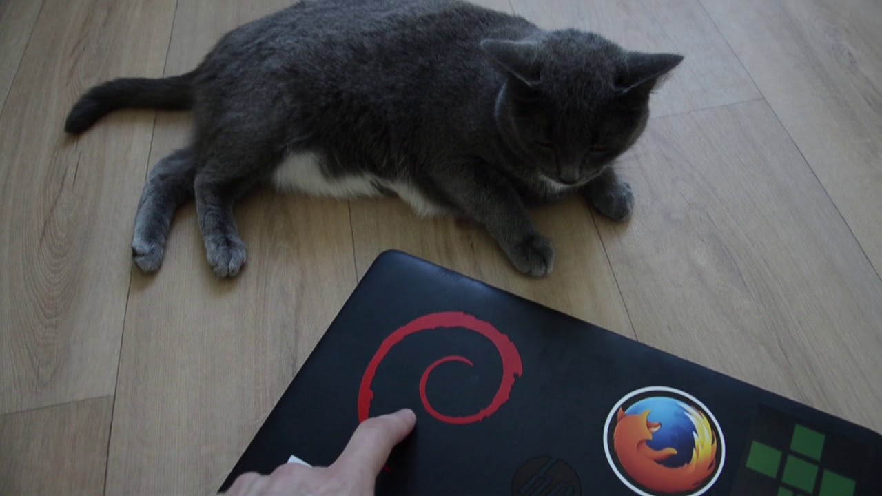 Comrade Cat, ep. 1: Your Duty - YouTube