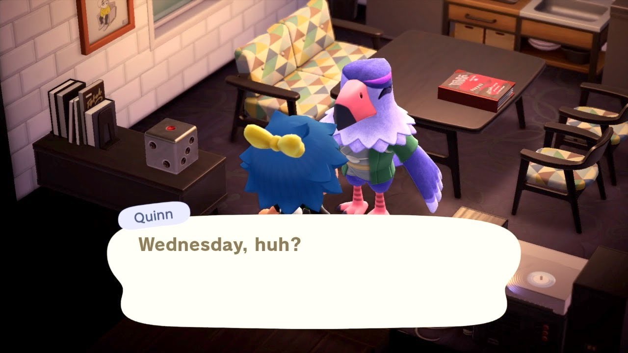 Quinn | Wednesday – ACNH Shorts - YouTube