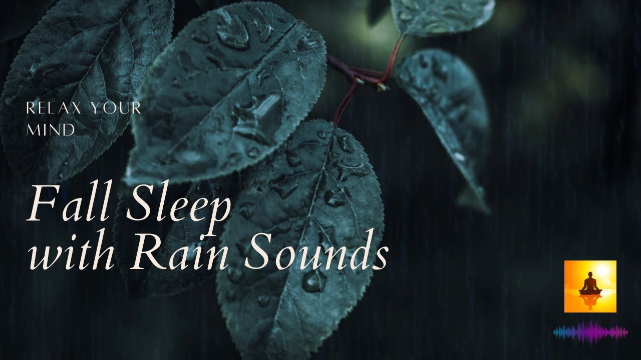 Fall Sleep with Rain Sounds - YouTube