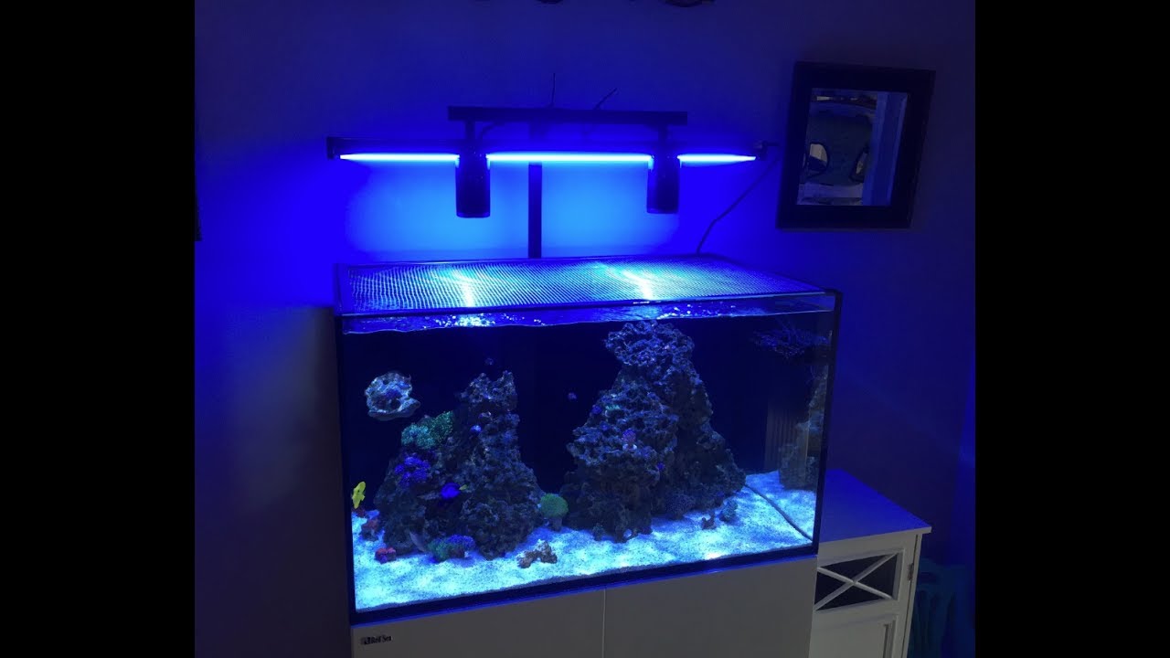 Red Sea Reefer 250 | T5 POWER | Kessil T5 Hybrid | Neptune AFS User ...