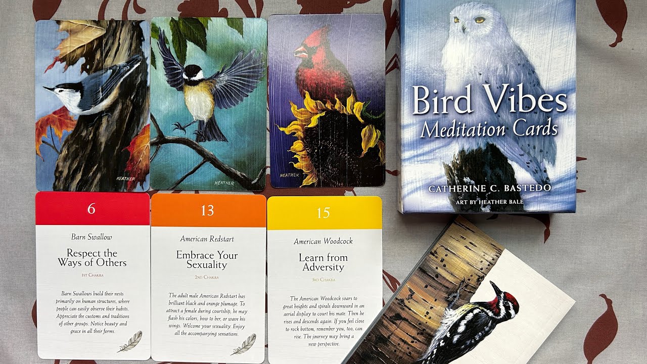 Bird Vibes Meditation Cards: Spiritual Insight Though Birds | Full ...