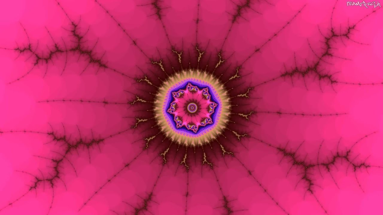 Fractal Zoom - Fast (Sink In Pink) Mandelbrot (1080p 60fps) - YouTube