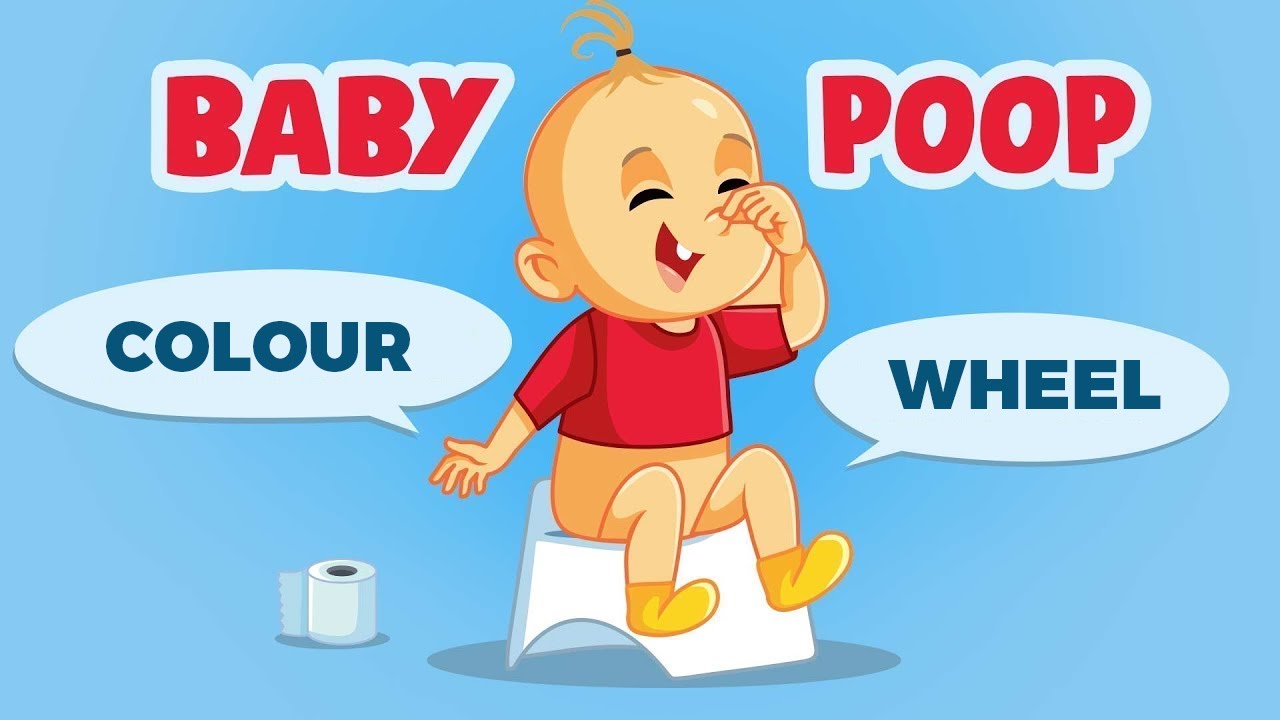 Newborn Poop Colour Wheel - YouTube