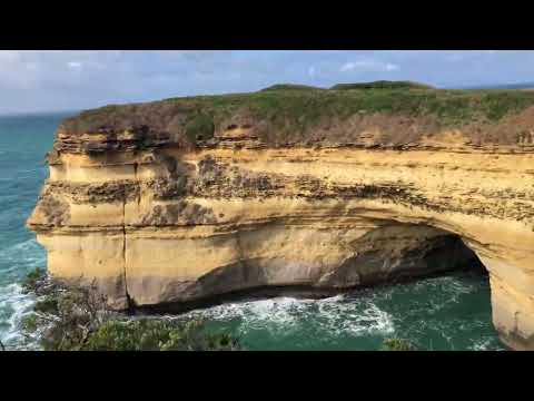 Mutton Bird ( short tailed shearwater ) Island.... safe from predators ...