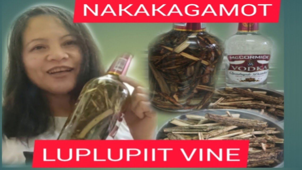 ANO ANG LUPLUPIIT,ALUPIIT VINE ALINGATONG. .ITO AY HERBAL MEDICINE ...