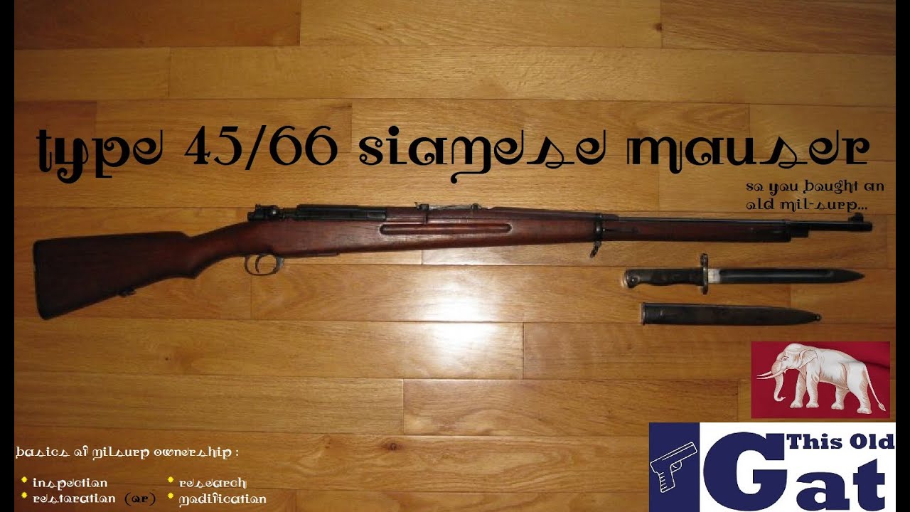 Pwnery's "This Old Gat" - Episode 8 - The RS121 - Type 45/66 Siamese ...