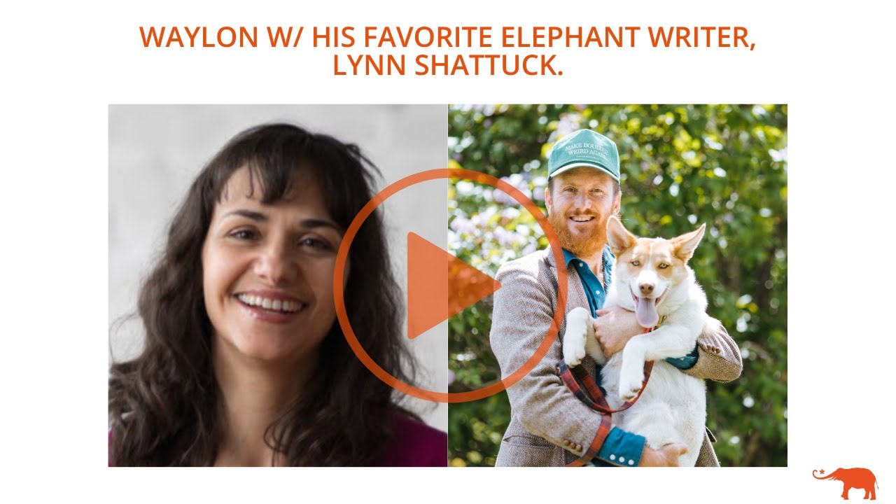 Waylon w/ his favorite Elephant Writer, Lynn Shattuck. - YouTube