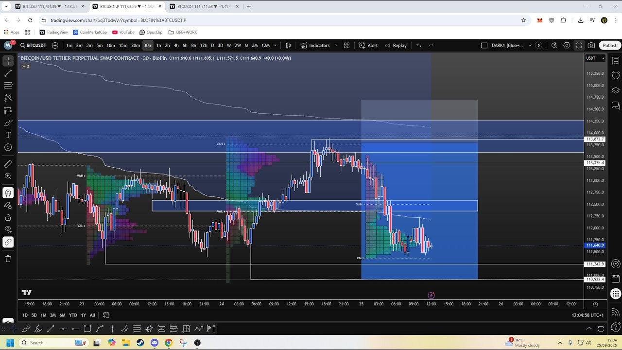CYDCAP -- LIVE MID-WEEK TRADING & CHART REVIEW -- May 13th 2025 - YouTube