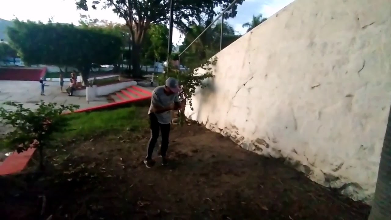 Carlos Guzmán cs - YouTube