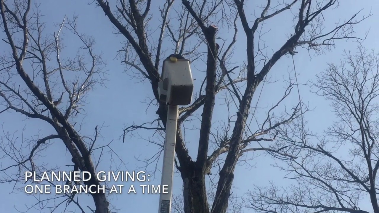 Planned Giving: One Branch At A Time - YouTube