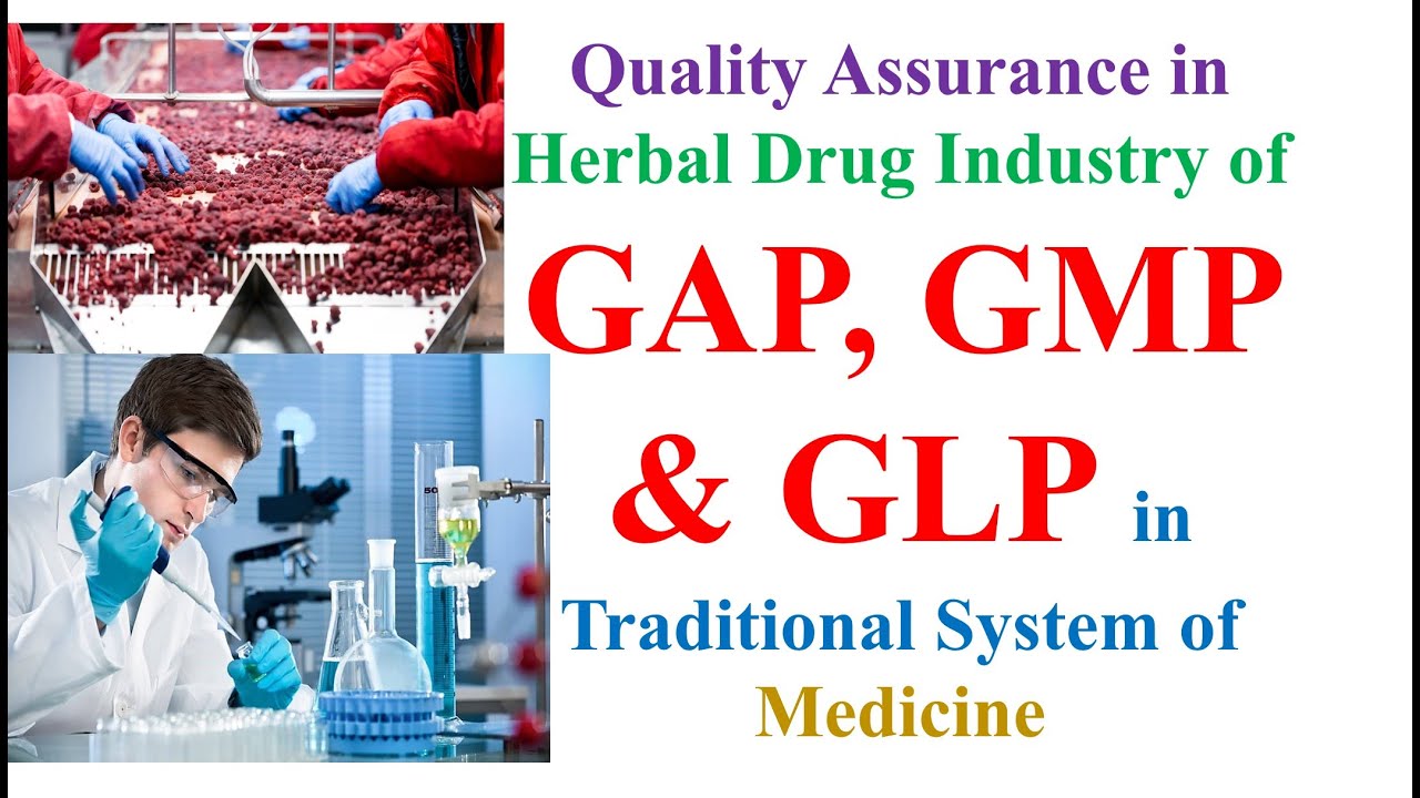 #Quality #Assurance in Herbal Drug Industry | #GAP #GMP #GLP in ...