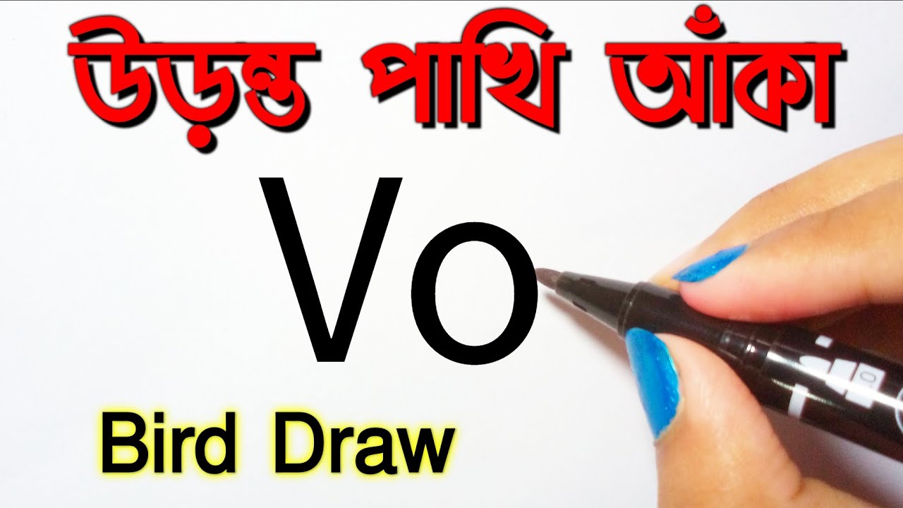 How To Draw A Bird From Vo.Easy Bird Draw. Bird Draw Step By Step ...
