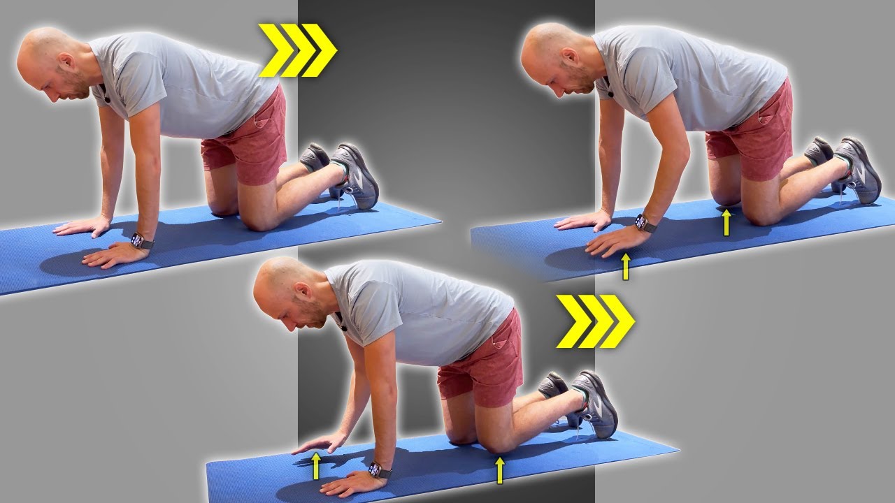 Quadruped Walks - YouTube