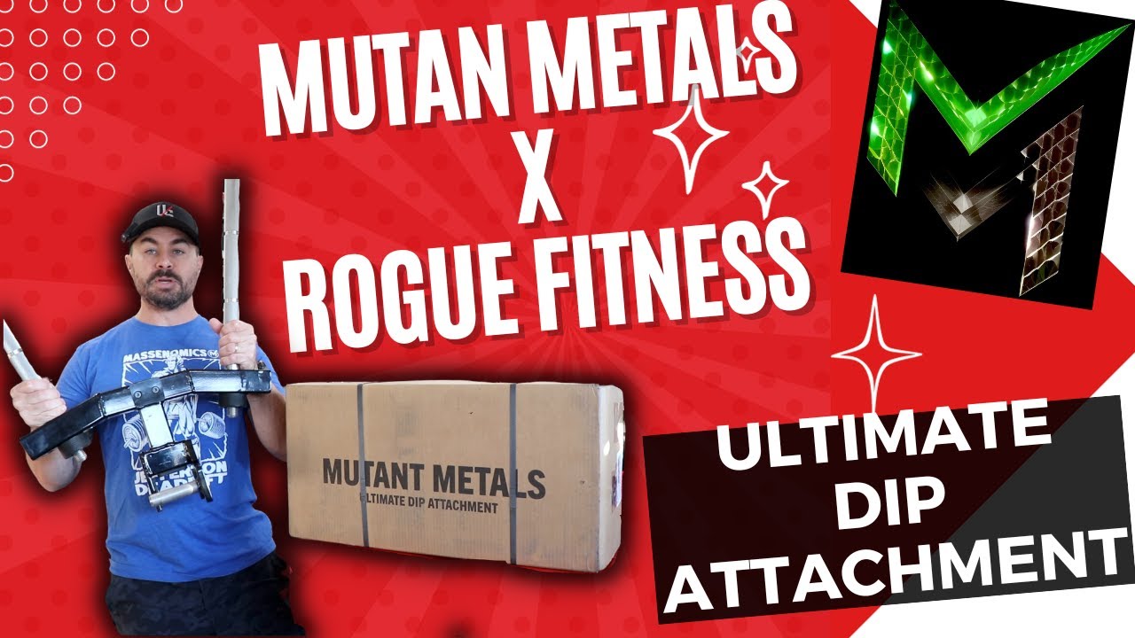 Rogue's Ultimate Dip Attachment | Step in the Right Direction ...