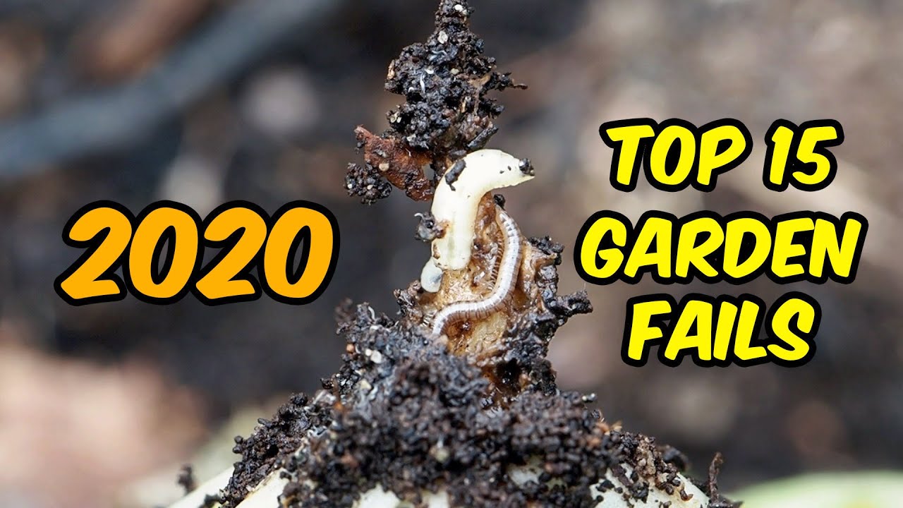 Top 15 Garden Fails of 2020 - YouTube