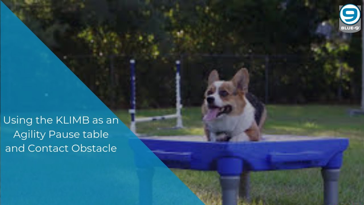 The KLIMB as an Agility Pause table and Contact Obstacle - YouTube