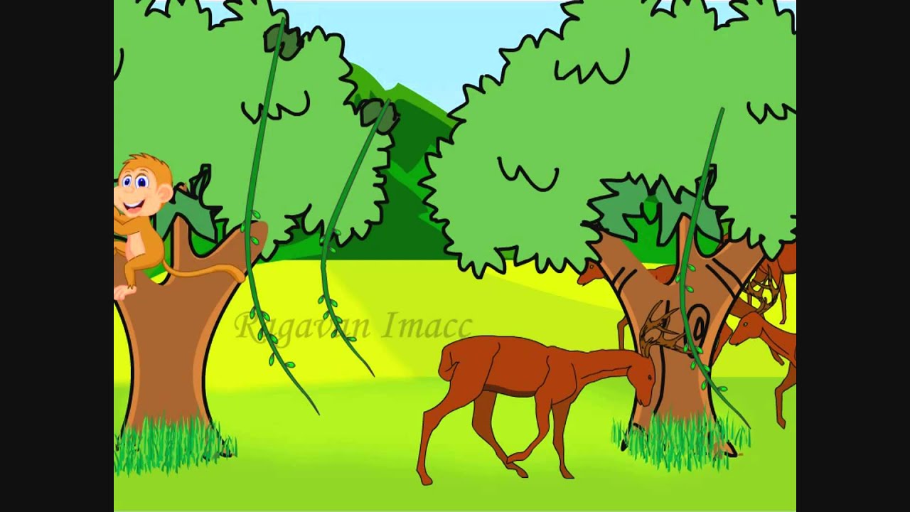 Jungle 2d animation - YouTube