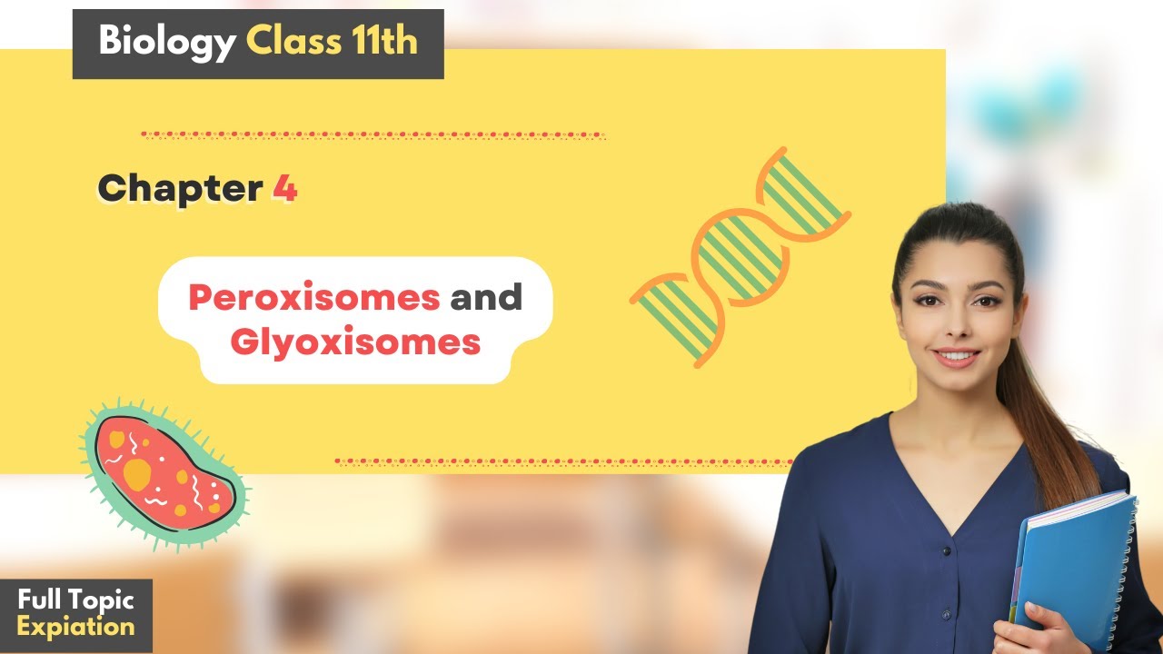 Understanding Peroxisomes and Glyoxisomes | Class 11 Biology ...