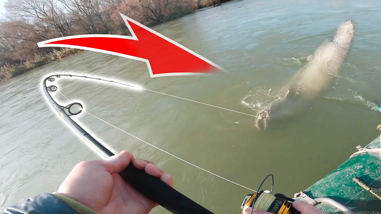 MEGA!! Monsterfisch zieht uns durch Fluss! Unvergesslicher Angeltag ...