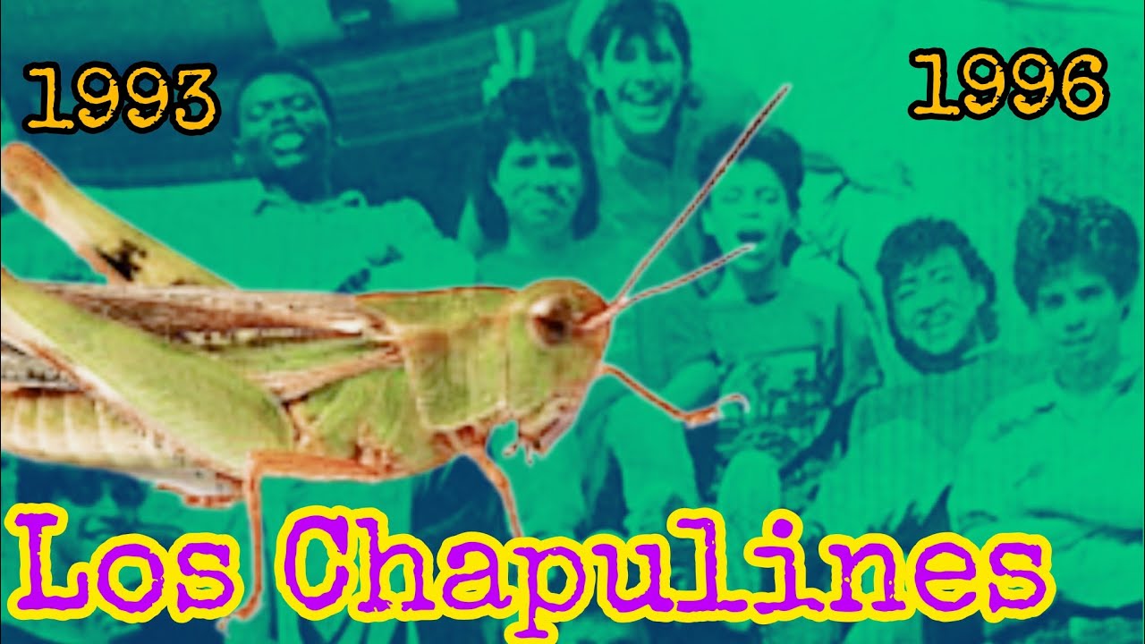 🚨 Los Chapulines. Costa Rica 1993 - 1996 @gemonsol #costarica # ...