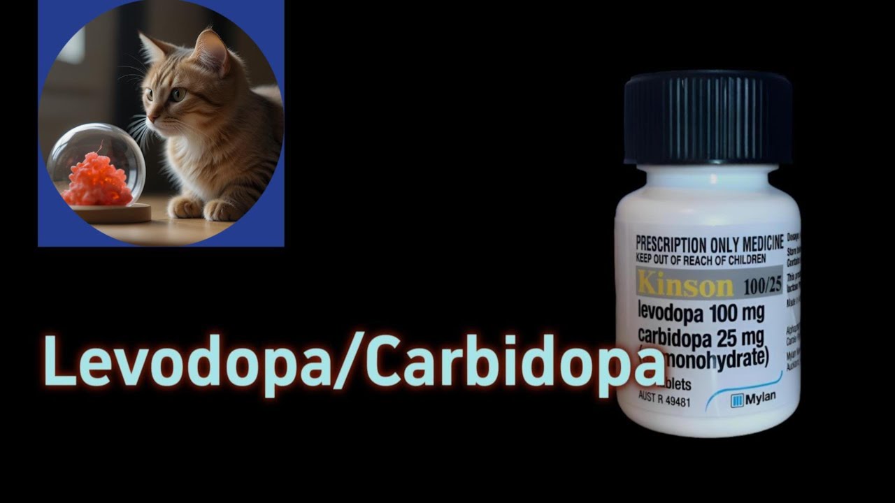 Levodopa & Carbidopa - mechanism/side effects - Pharmacology - USMLE ...