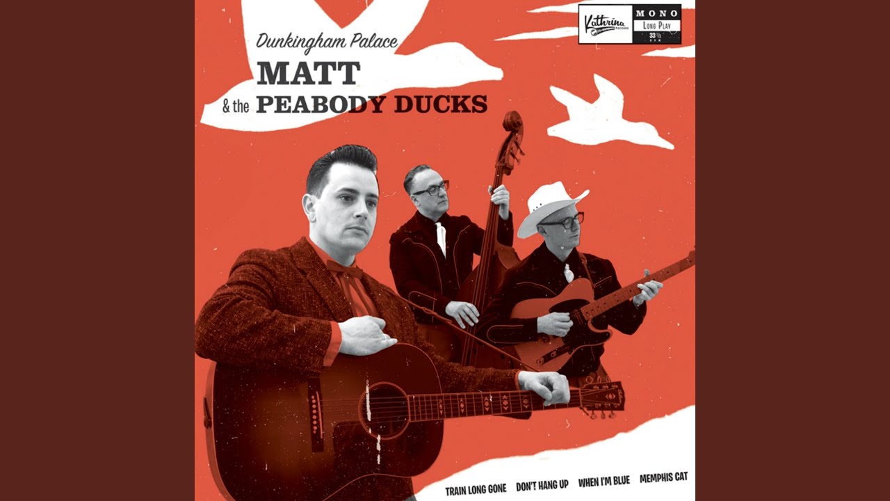 Memphis Cat - YouTube