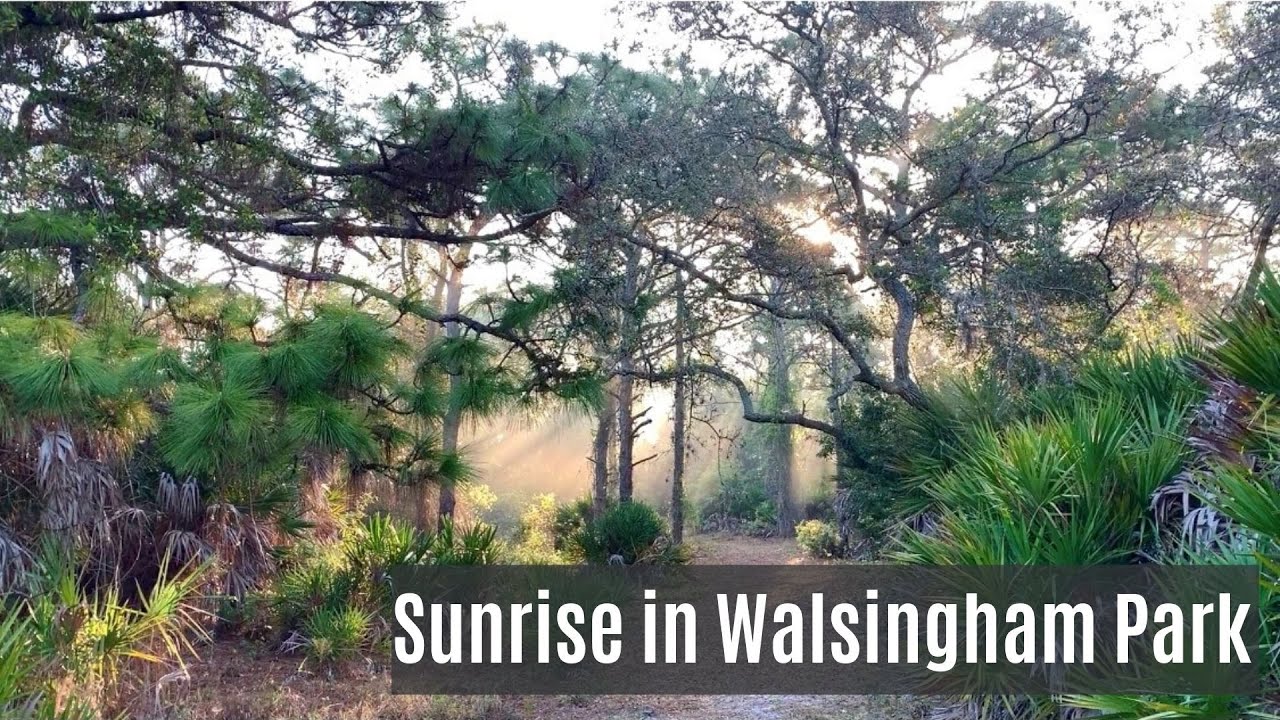 Sunrise walk through Walsingham Park - YouTube