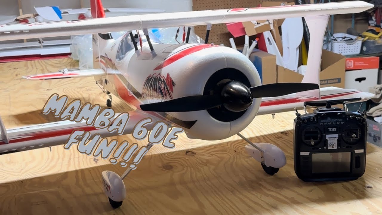 Flex Innovations Mamba 60E evening fun!!! - YouTube