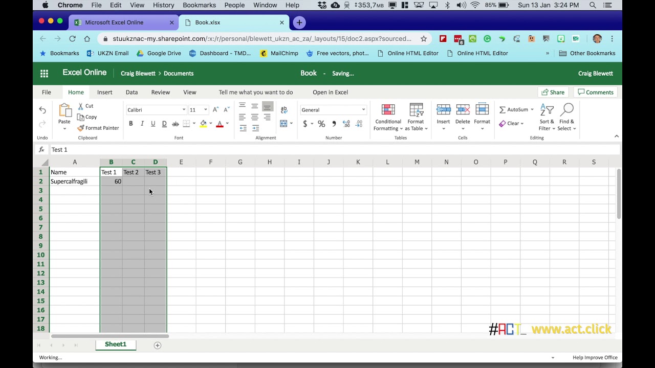 Microsoft Excel - Lesson 2 - Entering data - YouTube