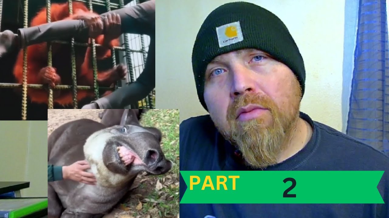 Odd, Creepy, Weird, Videos From The Internet Reactions (Vid 2) - YouTube