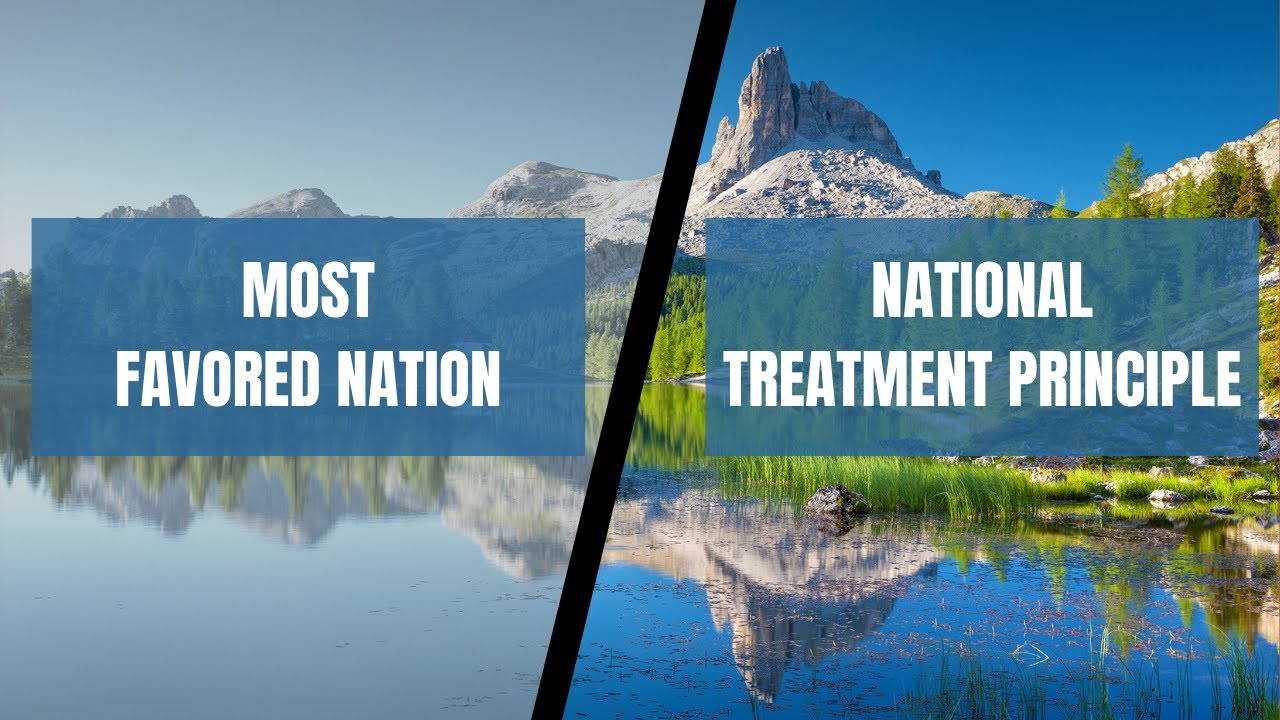 MFN Most Favored Nation Principle And National Treatment Principle In