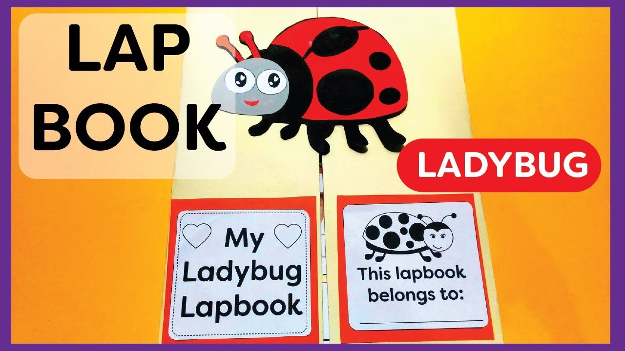 Ladybug Lap book for Kids - YouTube