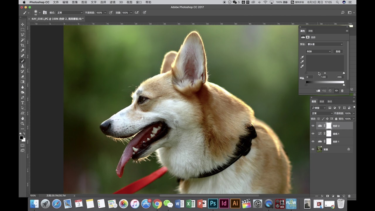 OneShot丨Dog Portrait Retouch in Photoshop CC - YouTube