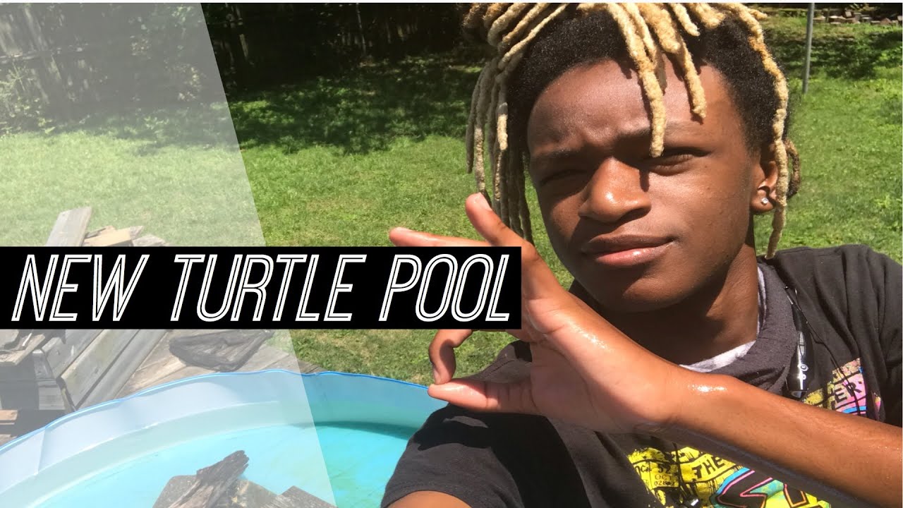 NEW TURTLE POOL!!! - YouTube