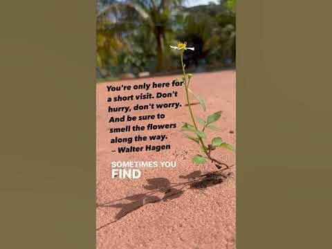 Quote & Thoughts “You're only here for a short visit. Don't hurry, don't worry…” — Walter Hagen ...