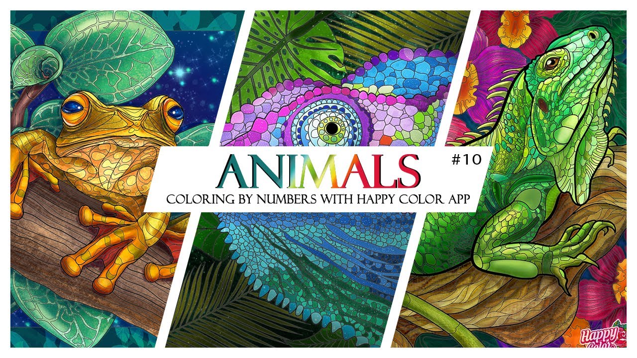 Color by numbers for adults | Happy color app.| Animals #10 - YouTube