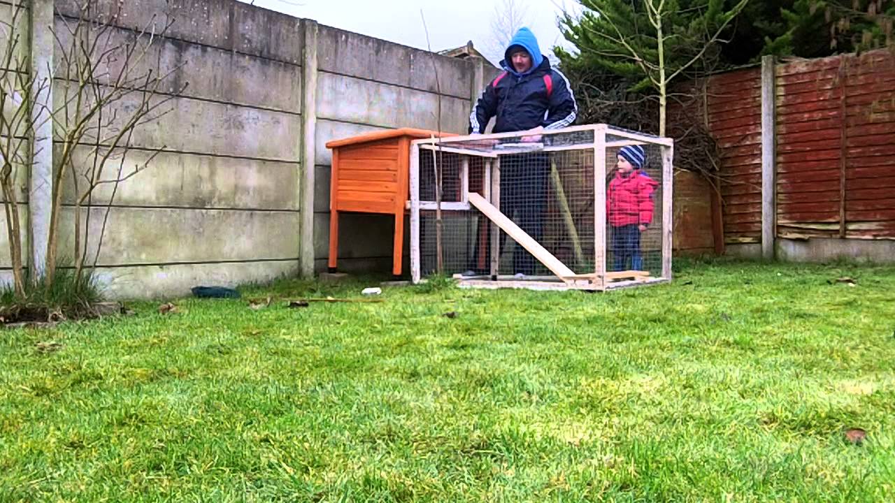 Reggie rabbit moves house. - YouTube