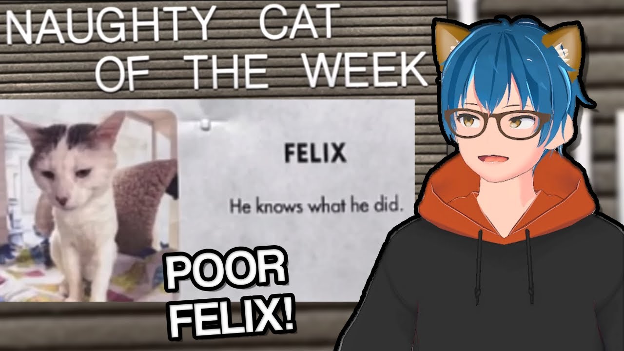 Naughty Cats of the Week | Matt Rose React - YouTube