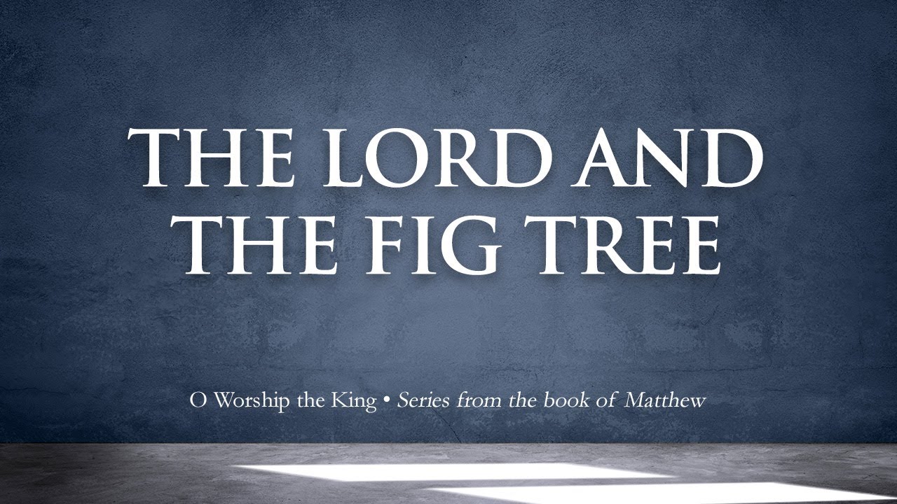 HRCC SUNDAY SERVICE SEPTEMBER 8, 2024 The Lord and The Fig Tree (Matt ...