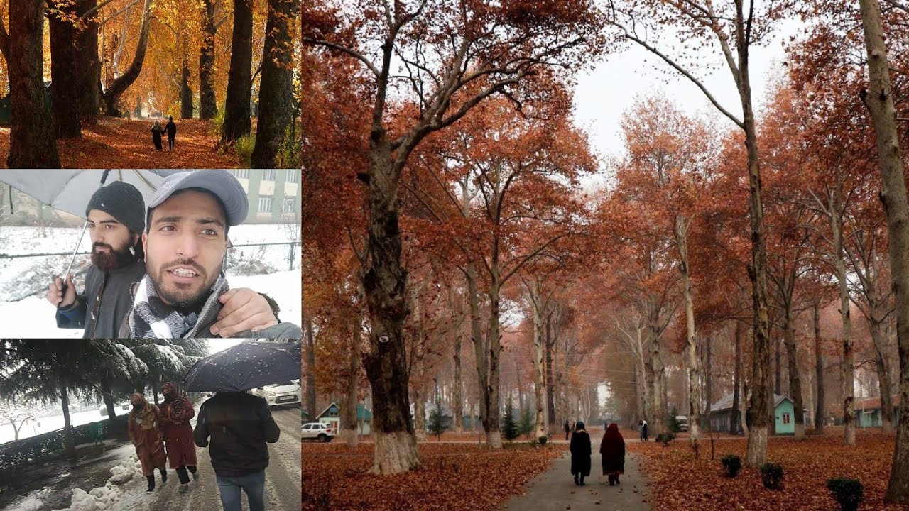 Enjoying heavy 🪨 snow fall at kashmiri University (with adeeb pathan ...