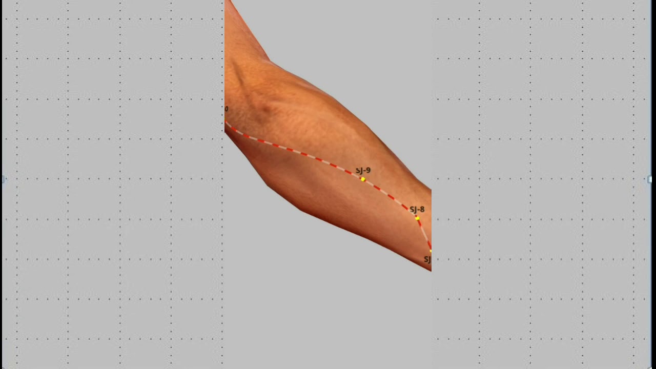 SJ meridian with point indications in English and Marathi - YouTube