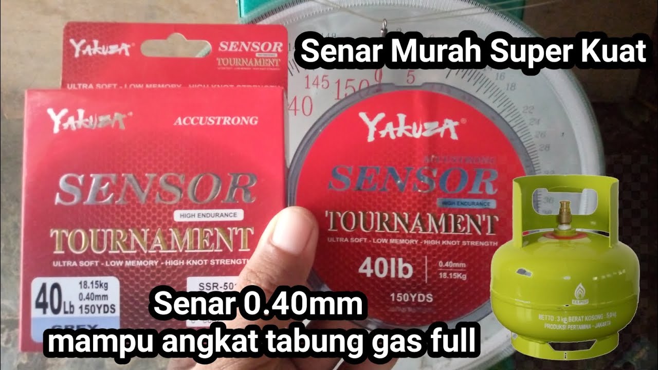 Tes Kekuatan Senar Yakuza sensor tournament - YouTube