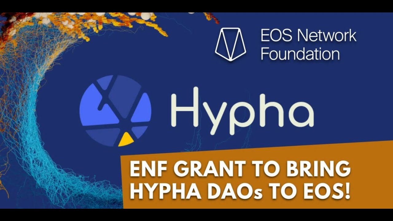 Going Deep with Hypha DAO—Exploring the Tools and Synergies of Hypha on ...