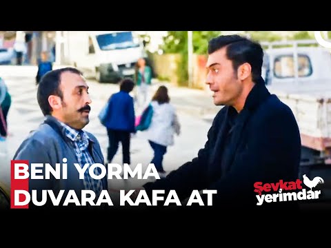 Şevkat'in Sabrını Zorlayan Dayak Detoksu - Şevkat Yerimdar