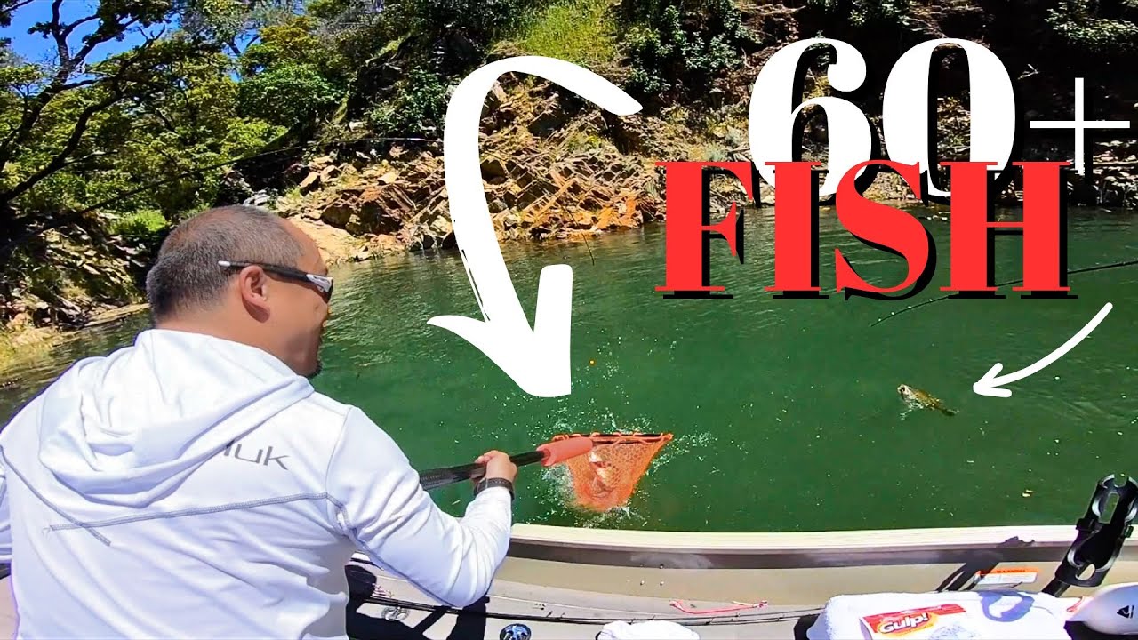 We Caught OVER 60 Fish... - YouTube