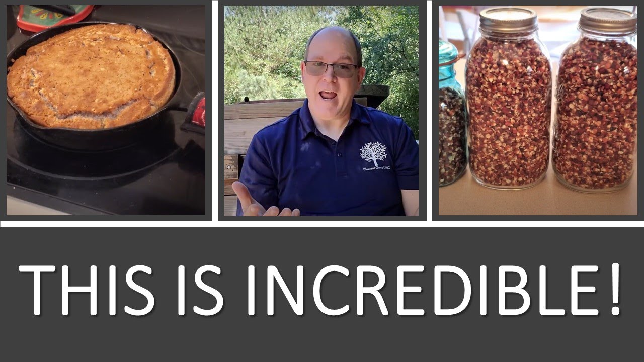 How to Harvest Field Corn and Make Grits and Corn Meal - YouTube